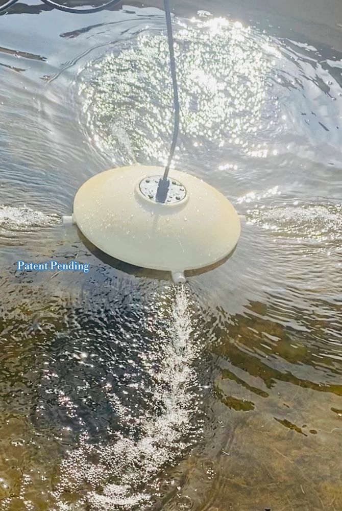 Meet the Water Rippler